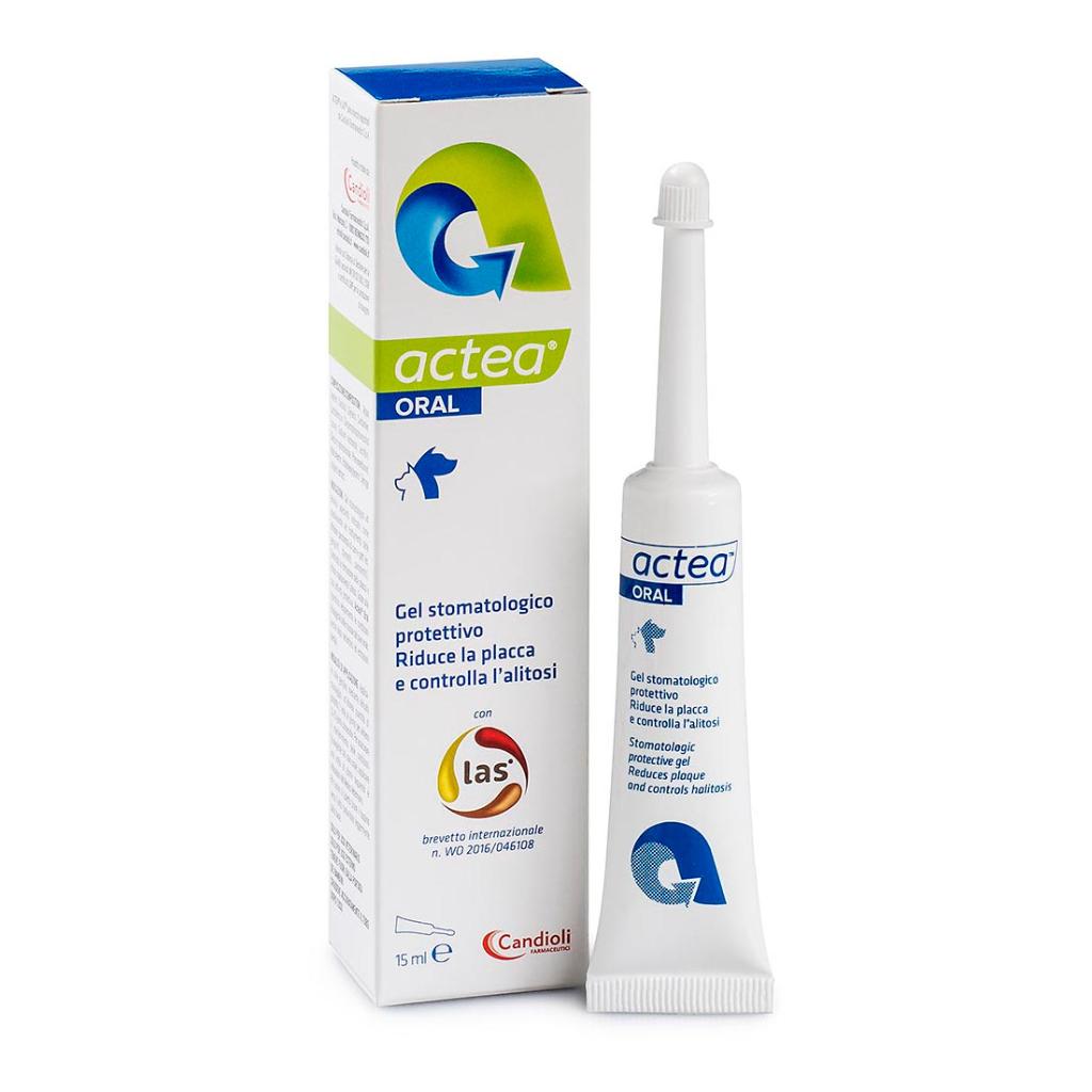ACTEA ORAL GEL STOMATOLOGICO 15 ML